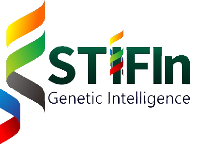 STIFIn | Personality