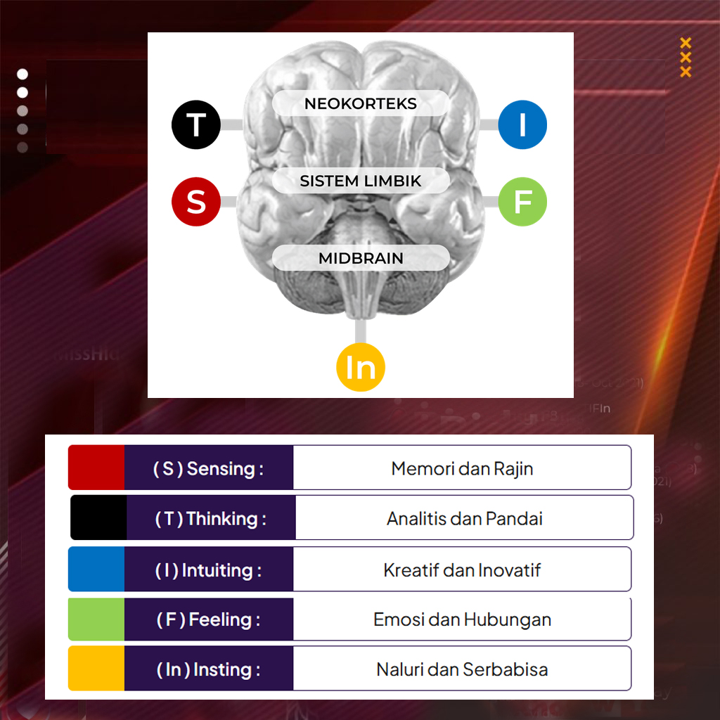 STIFIn | Personality