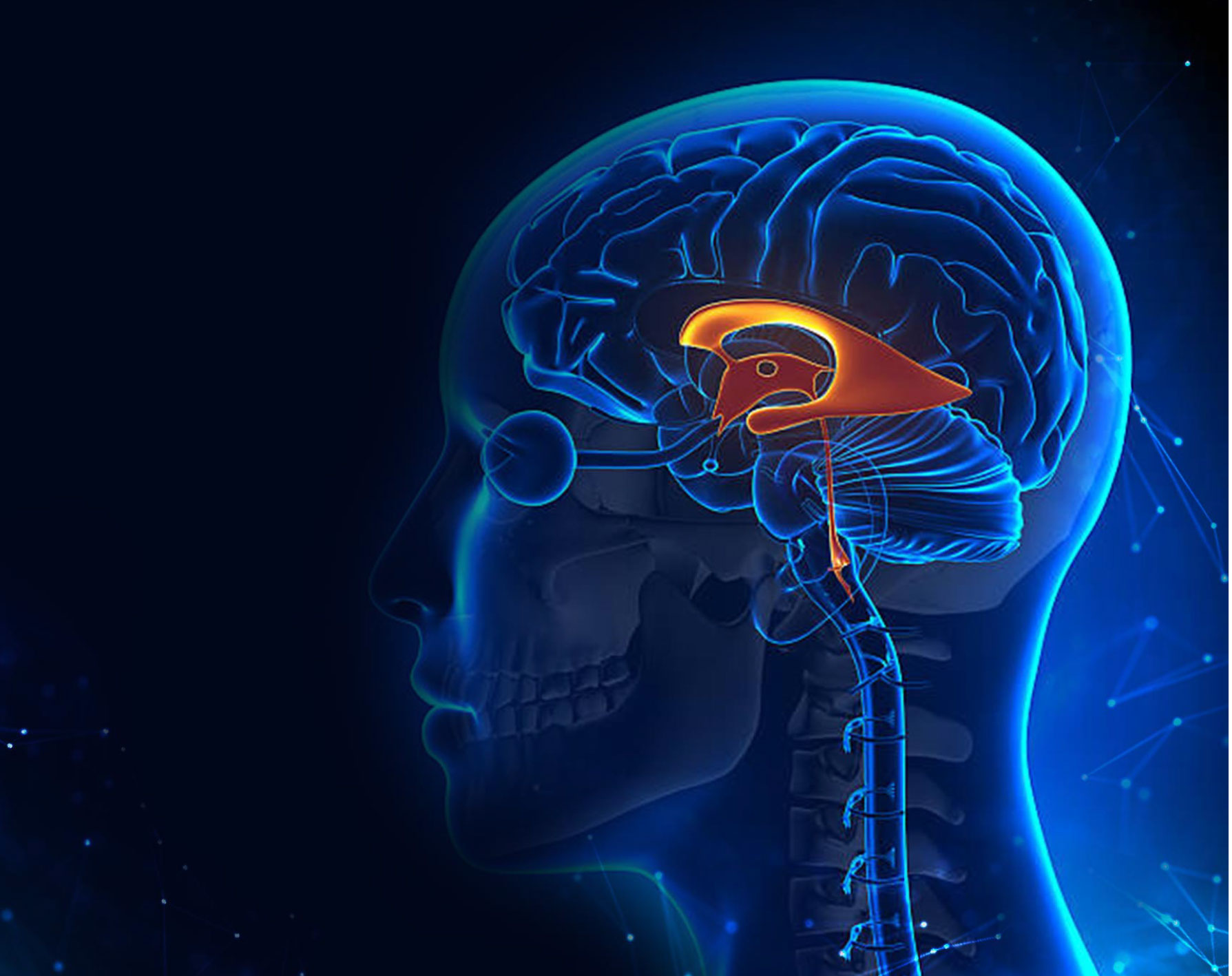 STIFIn | Personality