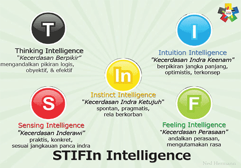 STIFIn | Personality